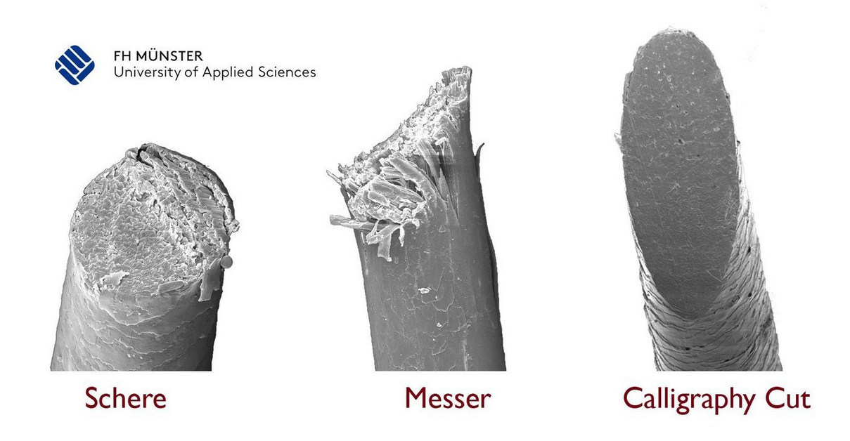 CALLIGRAPHY CUT -Das innovative Schnittkonzept